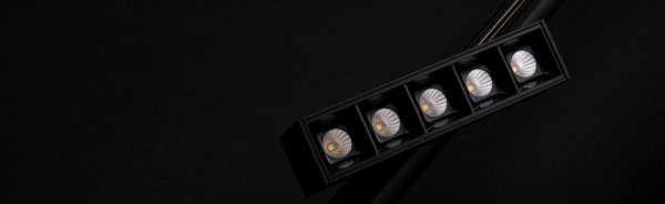 MAST – Eurofase Function