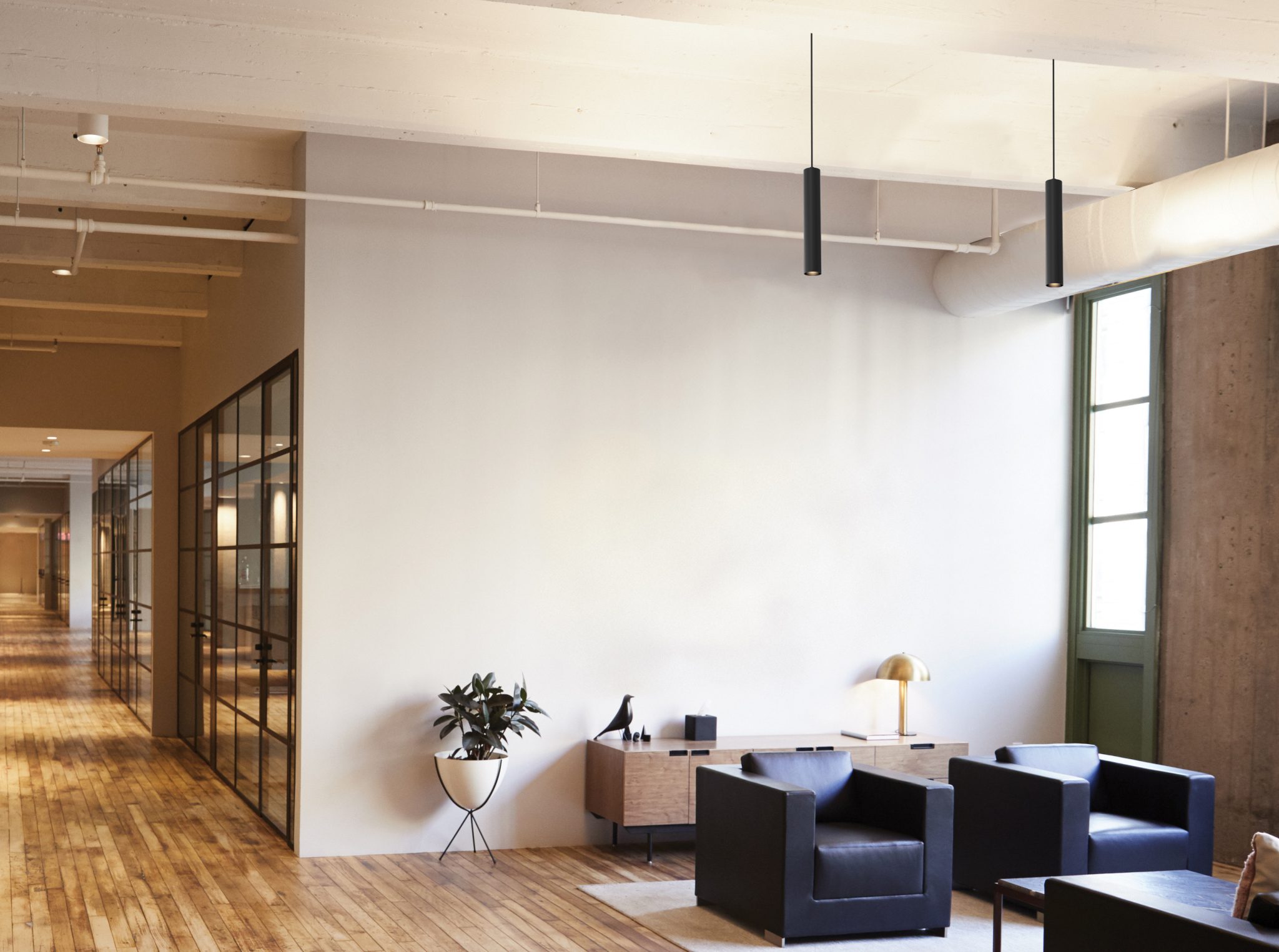 BRAVO – Eurofase Function